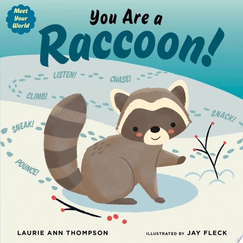 You Are a Raccoon! – Classroom Bookshelf